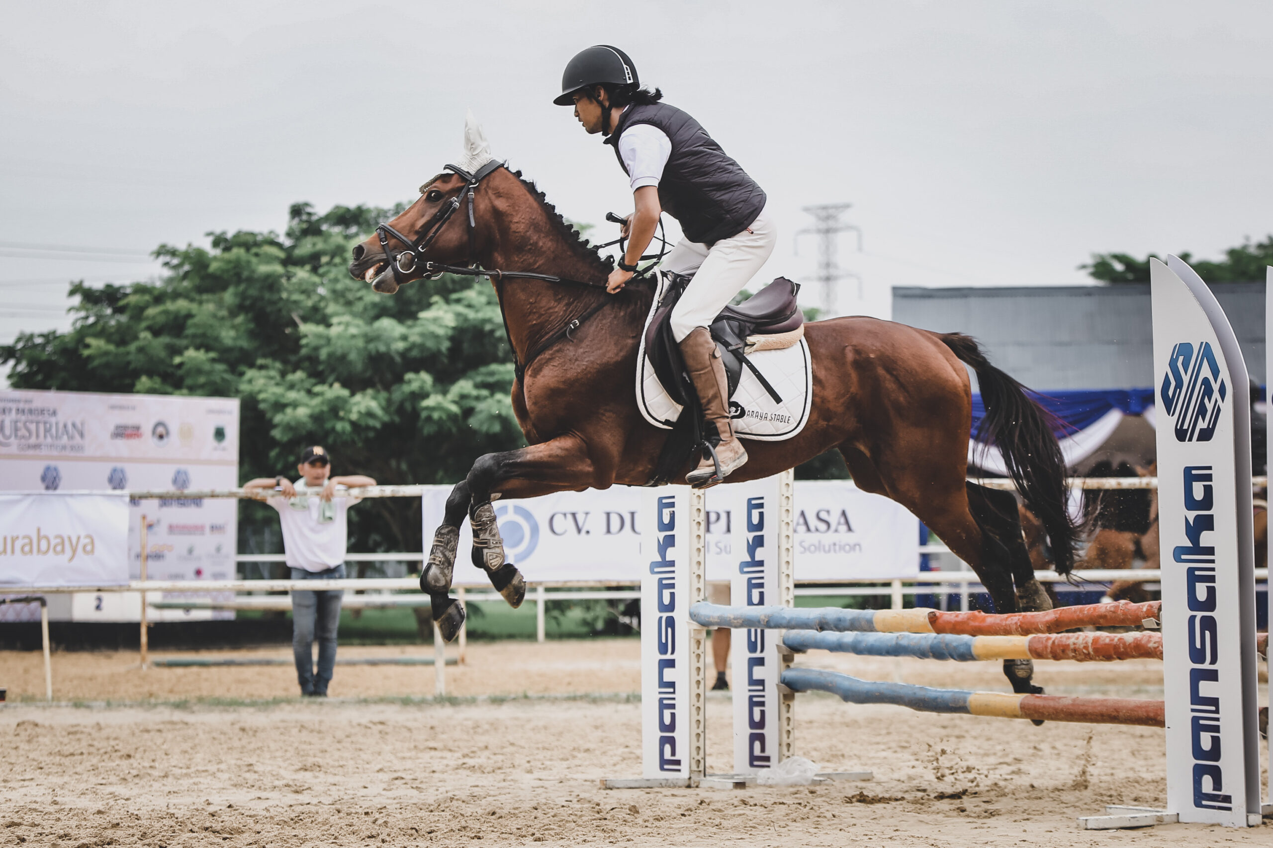 Araya Stable Yogyakarta – Horse Riding Club